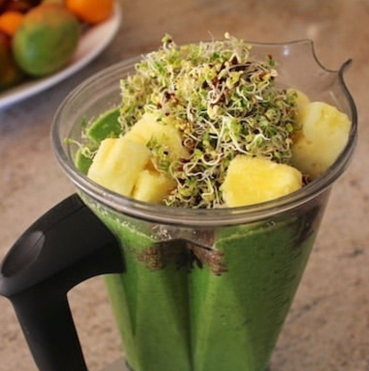 Broccoli Sprout Smoothie – Grow It! Online