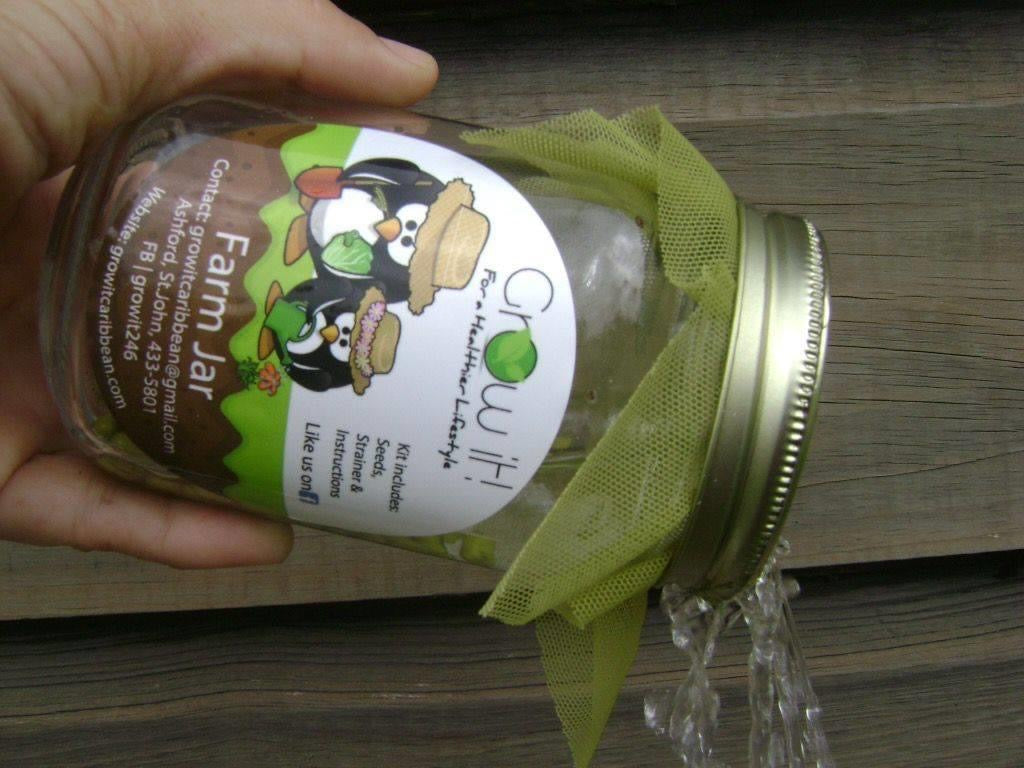 Farm Jar for Kids, Sprouting Kit – Grow It! Online